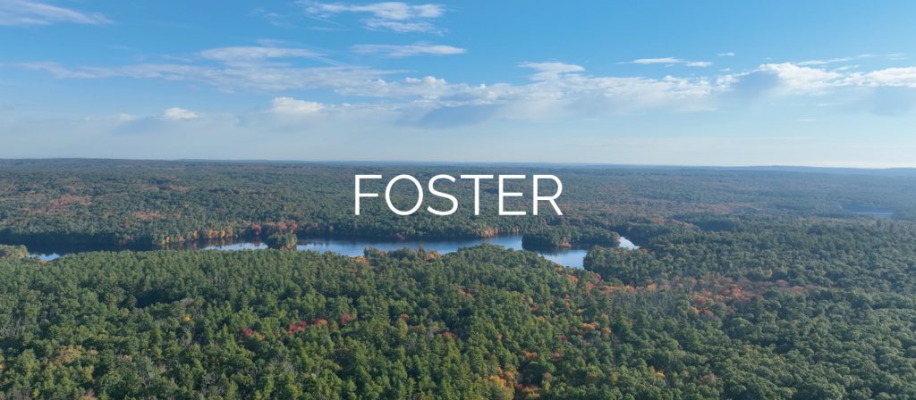 Foster | RISE City Guides | RISE Real Estate Consultants